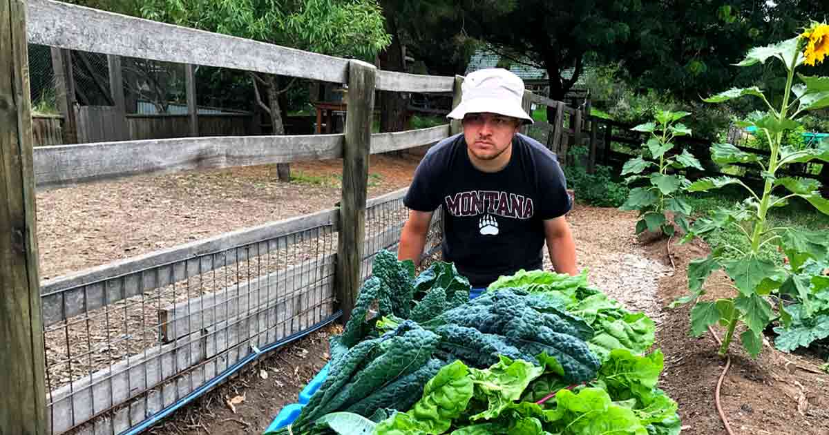 Número especial sobre la transición en un contexto global para las ...